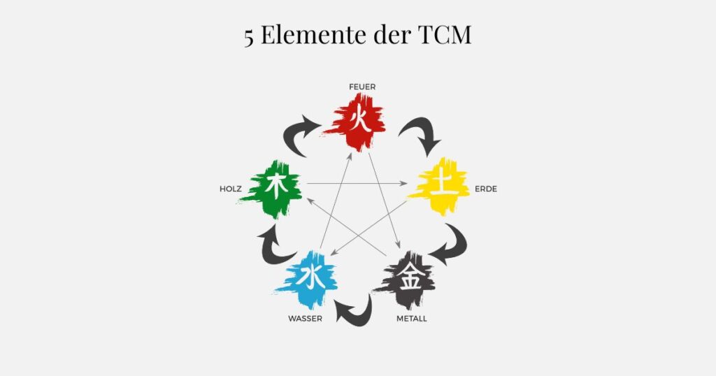 Die 5 Elemente der TCM im Yin Yoga – Ein Überblick